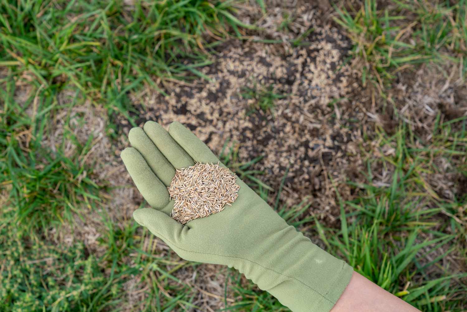 Why Ocala’s Sandy Soil Makes Lawn Care Tricky — And How to Fix It - Keith's Lawn Care - Ocala, FL
